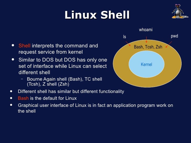Linux Basics