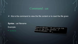 Linux basics | PPT | Free Download