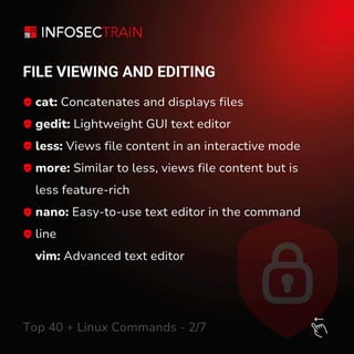 Master the Essentials: Top 40+ Linux Commands by InfosecTrain for IT ...