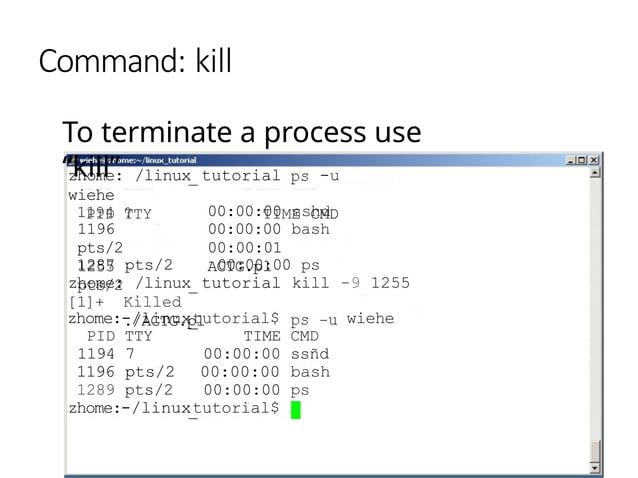 LINUX_COMMANDS_FOR_BEGINNERS_POWERPOINTPRESENTATION.pptx