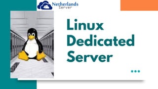 Linux Dedicated Server | PDF | Web Hosting | Internet