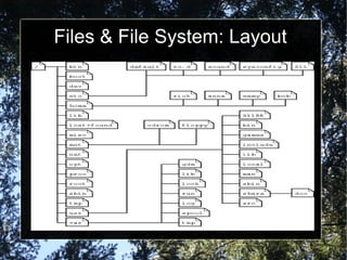 Linux introduction (eng) | PDF