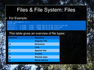 Linux introduction (eng) | PDF