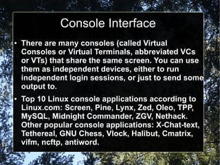 Linux introduction (eng) | PDF