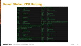 Linux kernel status in RISC-V | PPT