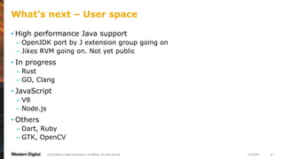 Linux kernel status in RISC-V | PPT