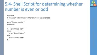 Basic Shell Programs | PPT