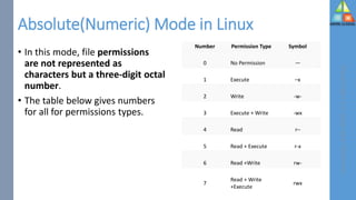 File Access Permission | PDF