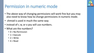 File Access Permission | PPT