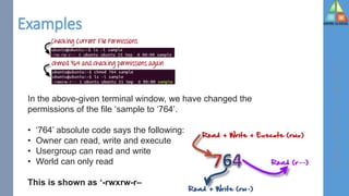 File Access Permission | PDF