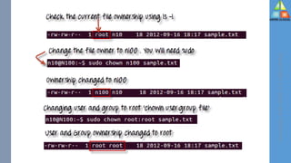 File Access Permission | PDF