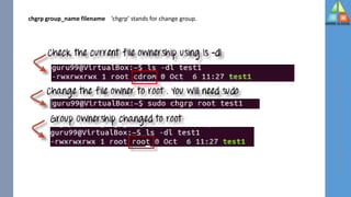 File Access Permission | PDF