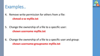 File Access Permission | PDF
