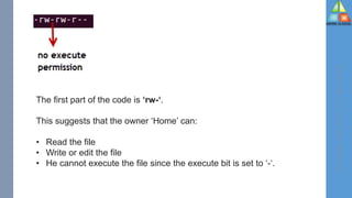 File Access Permission | PDF