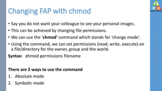 File Access Permission | PDF