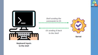 Types of Linux Shells | PDF | Operating Systems | Computer Software and Applications