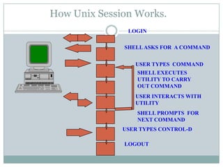 Linux Command Suumary | PPT | Free Download