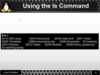 Linux file system nevigation | PPT