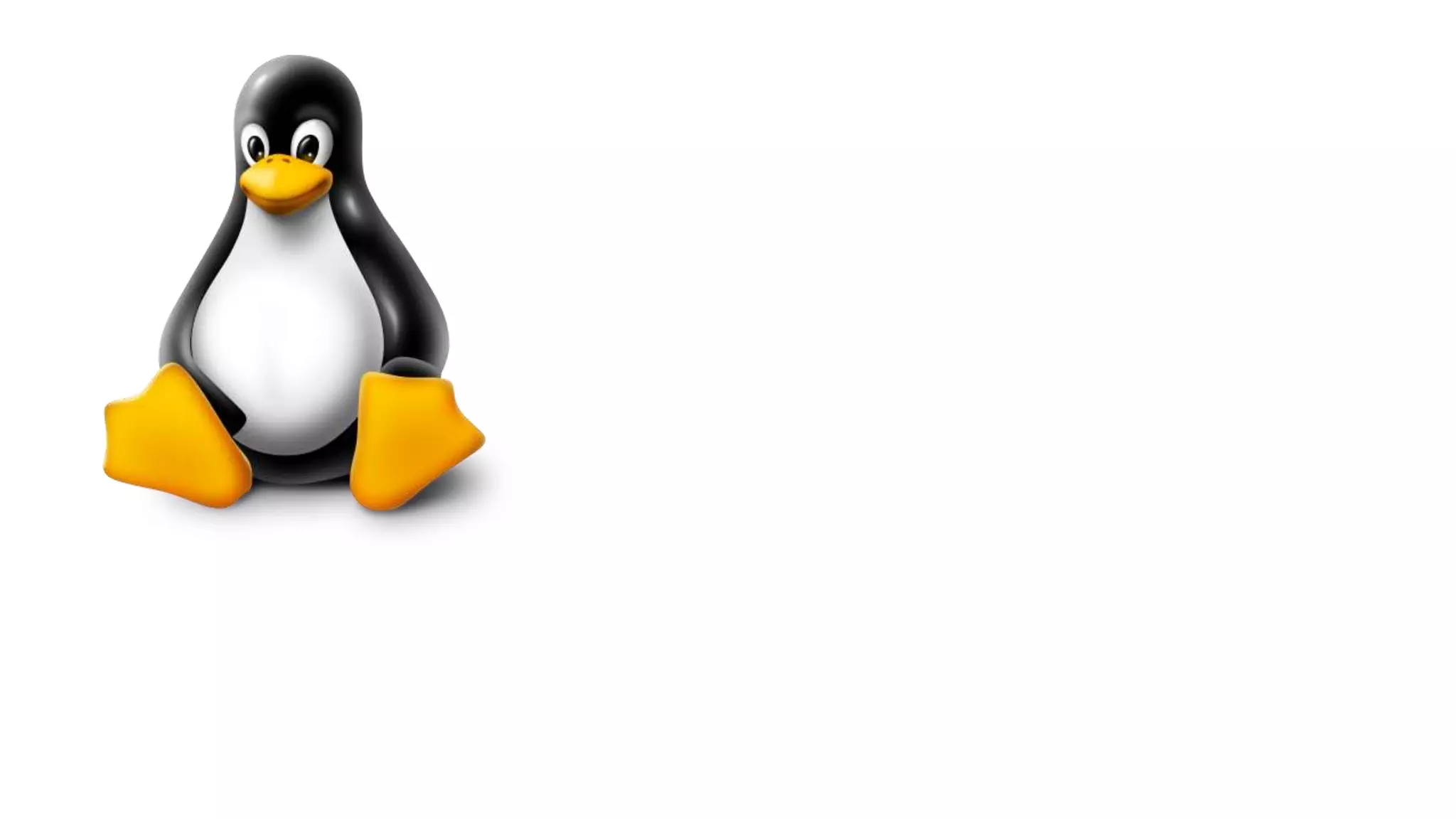 Azərbaycanca Linux-un sadə (elementary) əmrləri | PPTX