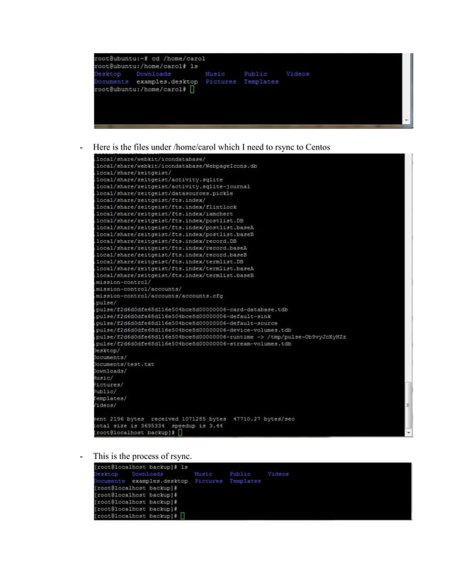 Linux server backup solution | PDF