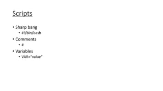 Linux Shell Scripting.pptx