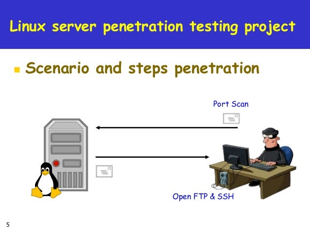 Linux server penetration testing project
