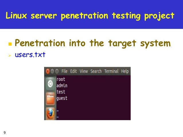Linux server penetration testing project