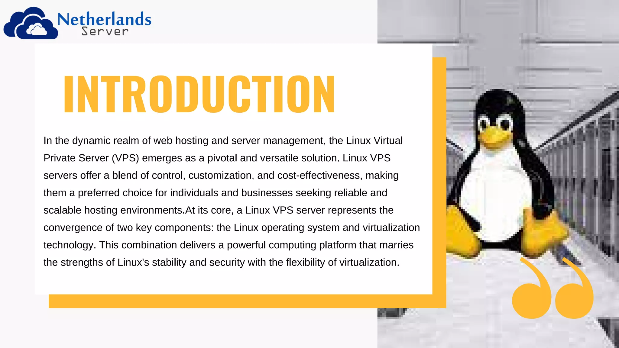 Linux VPS Server | PDF
