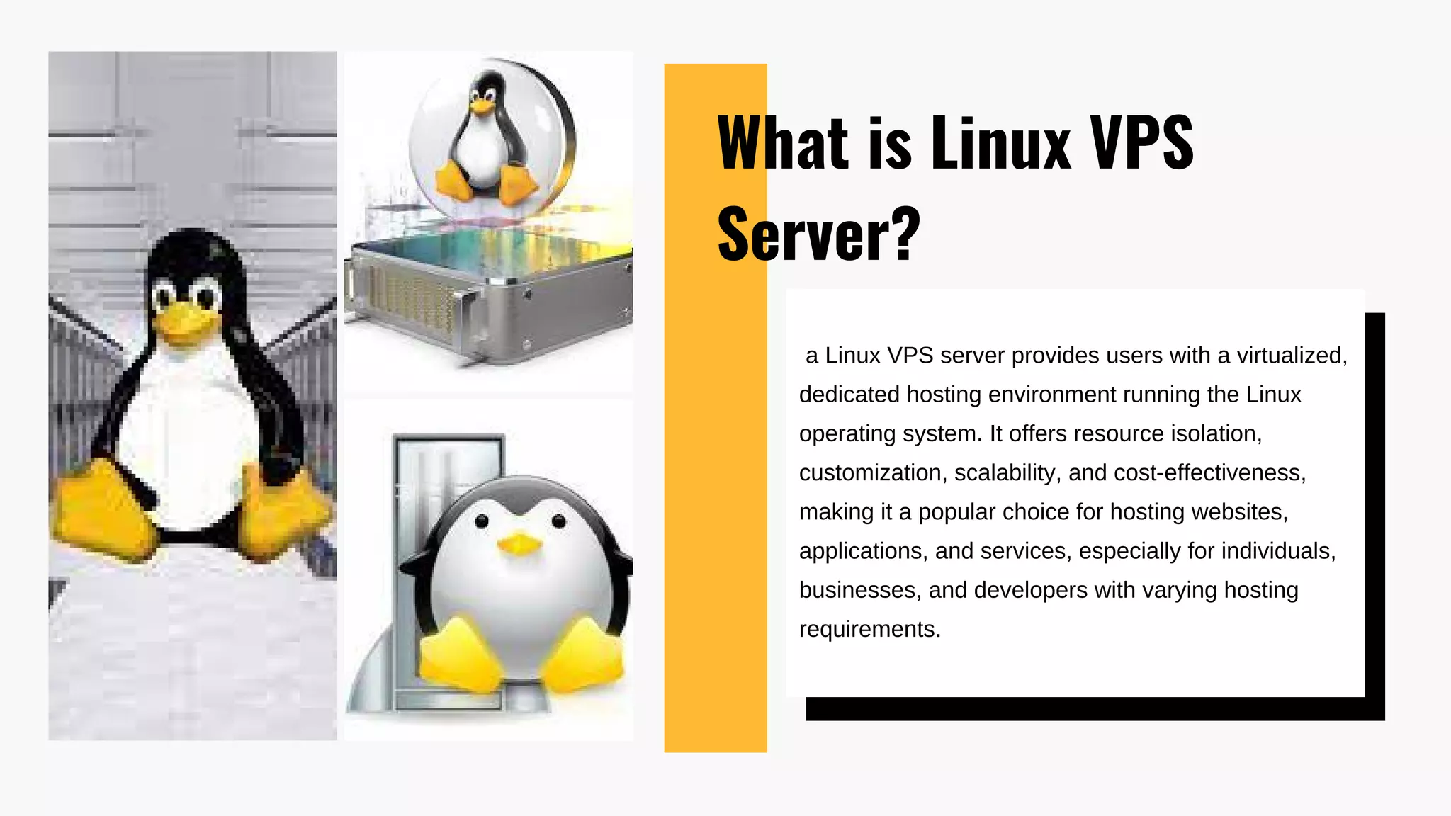 Linux VPS Server | PDF