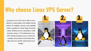 Linux VPS Server | PDF