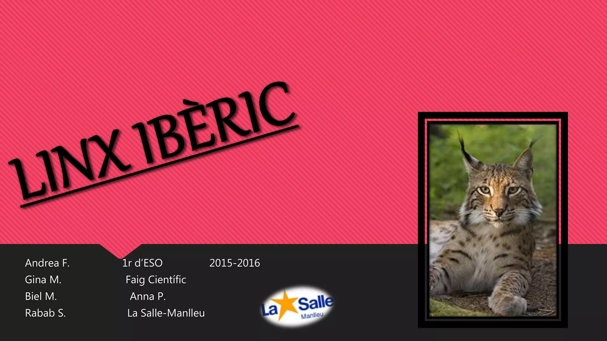 El Linx Ibèric 1r ESO La Salle Manlleu 2016 | PPTX