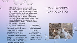 Linx nòrdic | PPTX