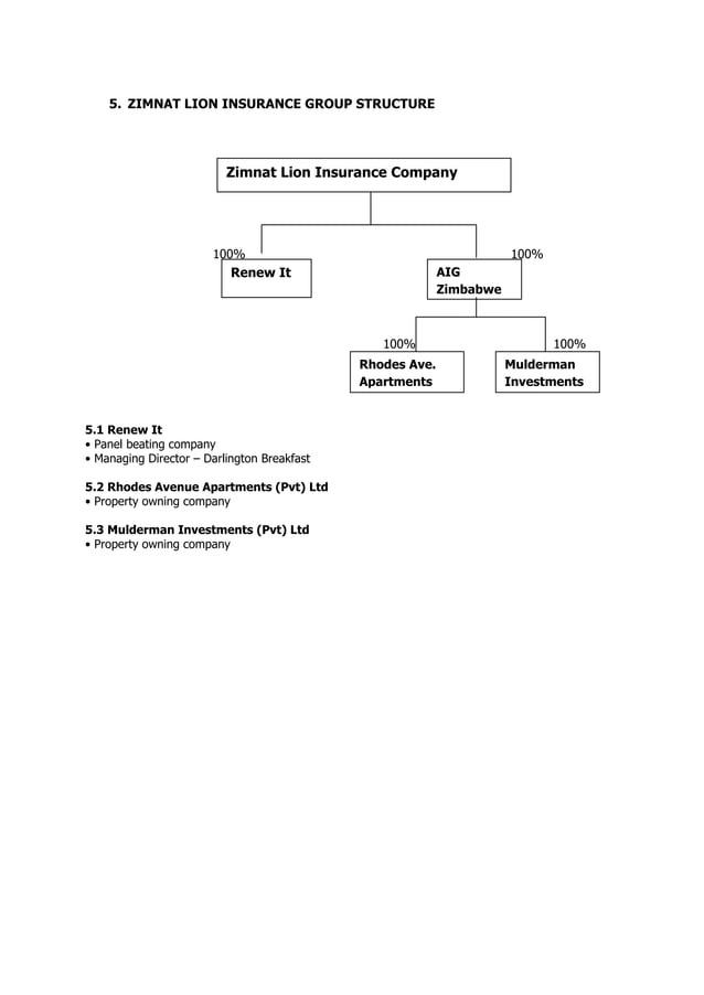 Zimnat Lion Insurance Company Profile | PDF