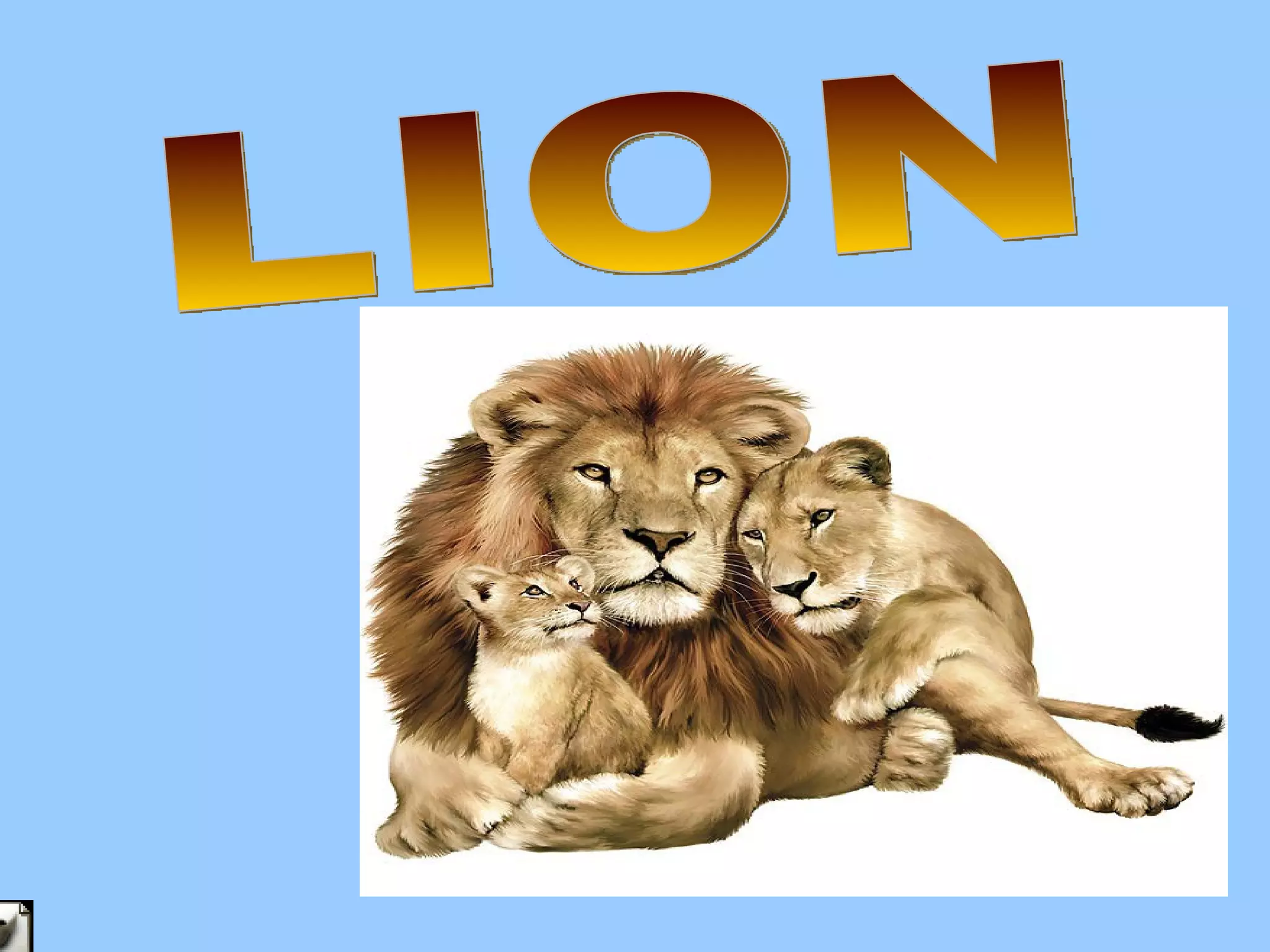 Lion | PPT