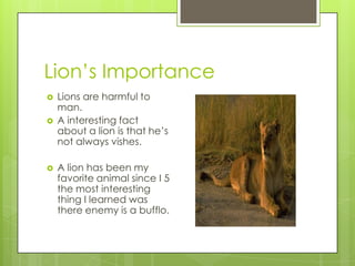 Lion | PPTX