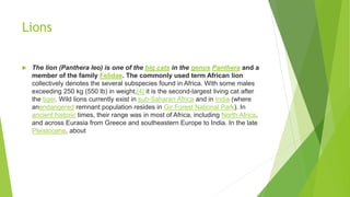 Lion | PPTX