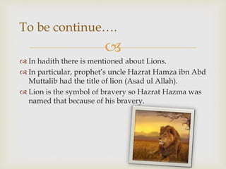 Lion | PPTX