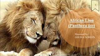 Leo The Lion Characteristics