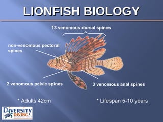 Lionfish Containment in Playa Del Carmen | PPT