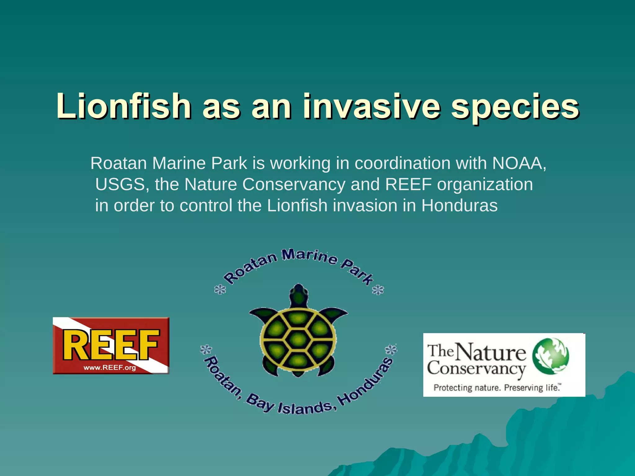 Lionfish Program Presentation | PPT | Zoos & Aquariums | Attractions