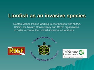 Lionfish Program Presentation | PPT | Zoos & Aquariums | Attractions