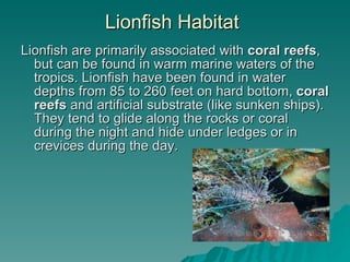 Lionfish Program Presentation | PPT
