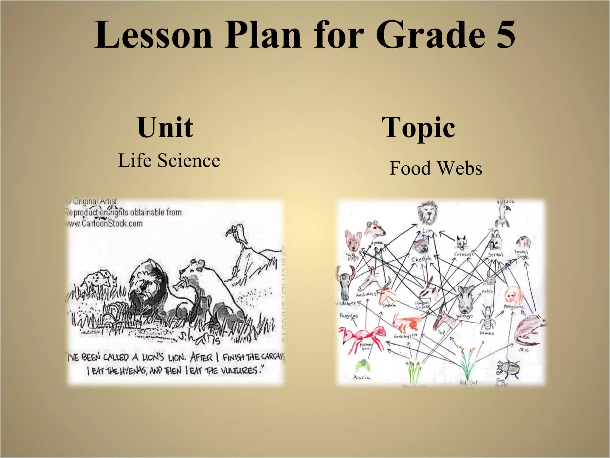 Lion King Lesson Plan | PPT