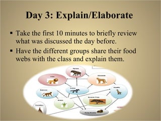 Lion King Lesson Plan | PPT