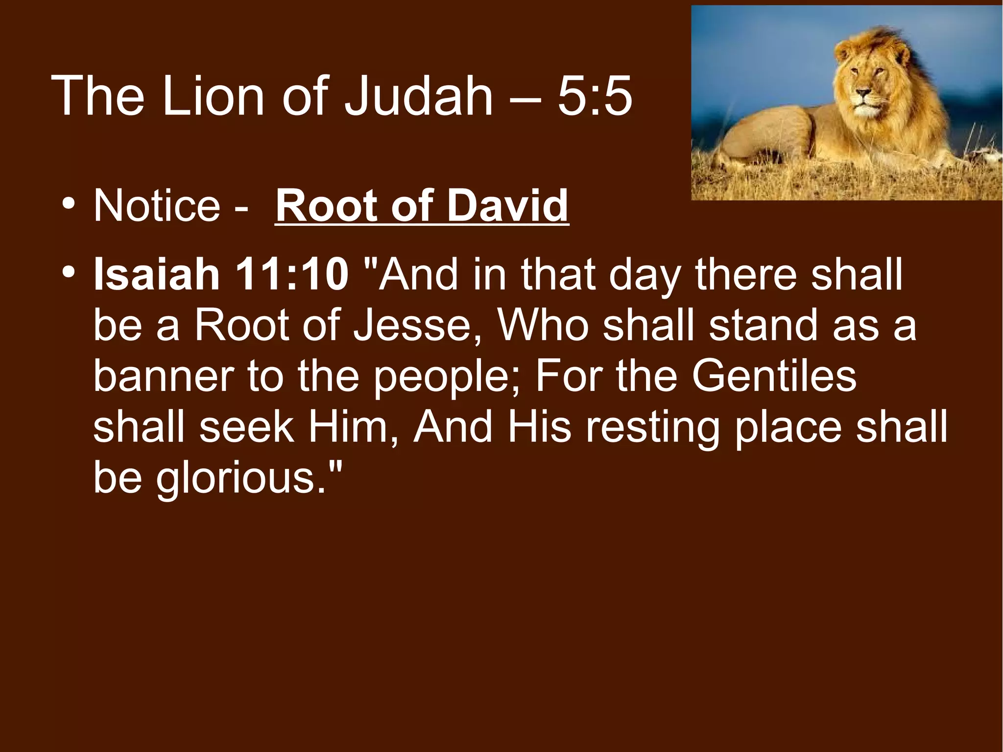 Lion of judah | PPT