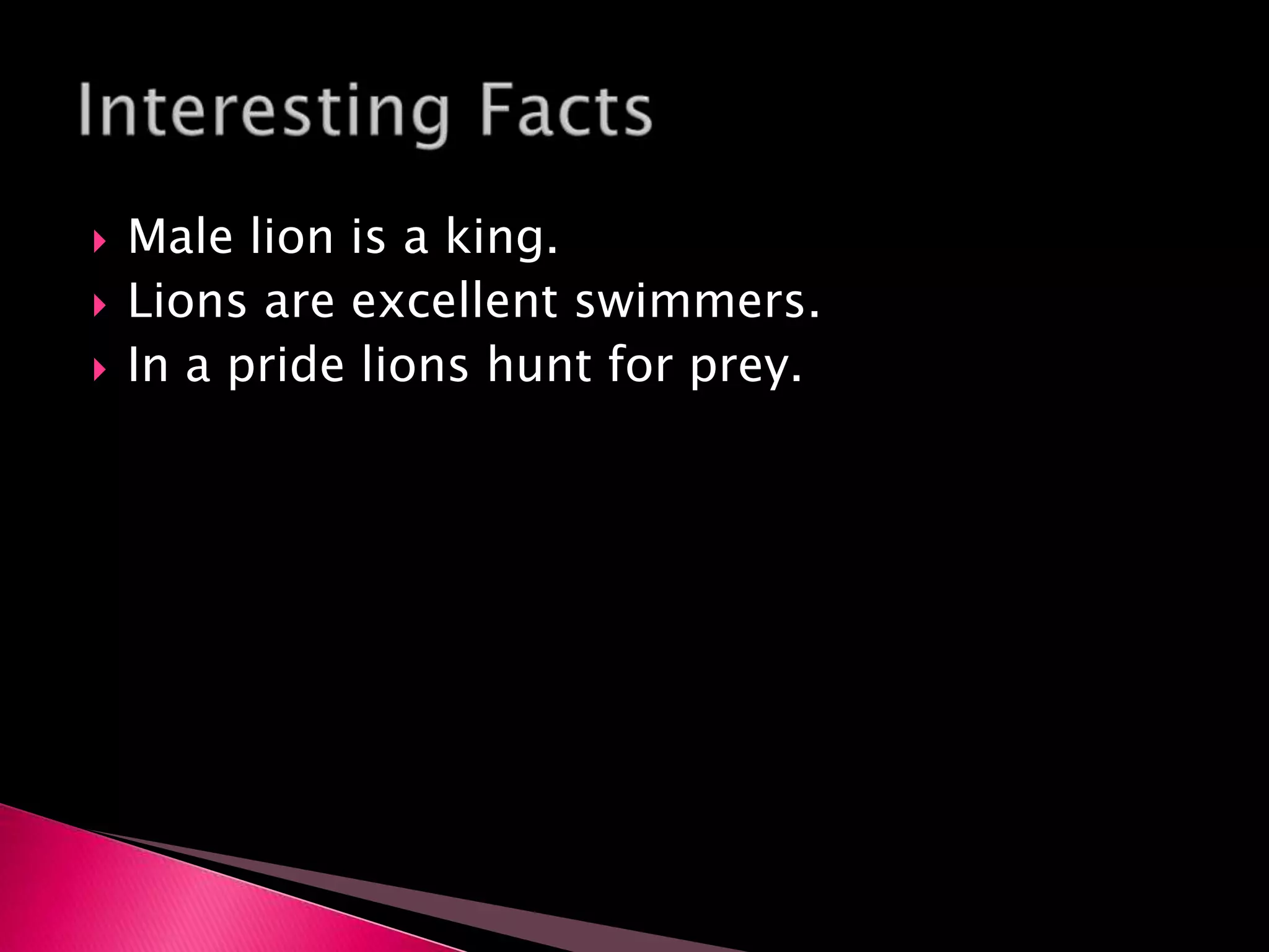 Lion powerpoint | PPTX