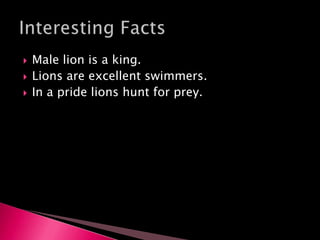 Lion powerpoint | PPTX