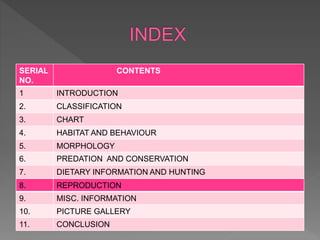 INVESTIGATORY PROJECT ON LION | PPTX