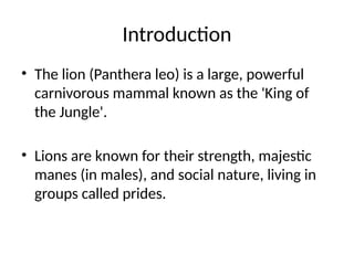 Lion Research project ppt including adding image of the lion | PPT