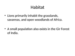 Lion Research project ppt including adding image of the lion | PPT